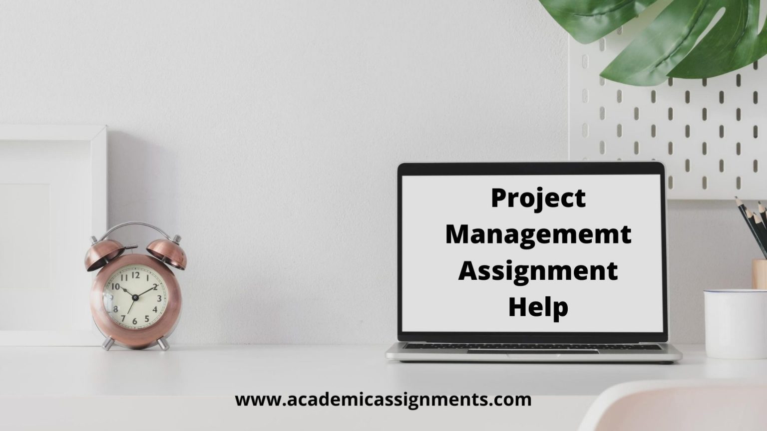 PROJECT MANAGEMENT ASSIGNMENT HELP ONLINE SERVICE